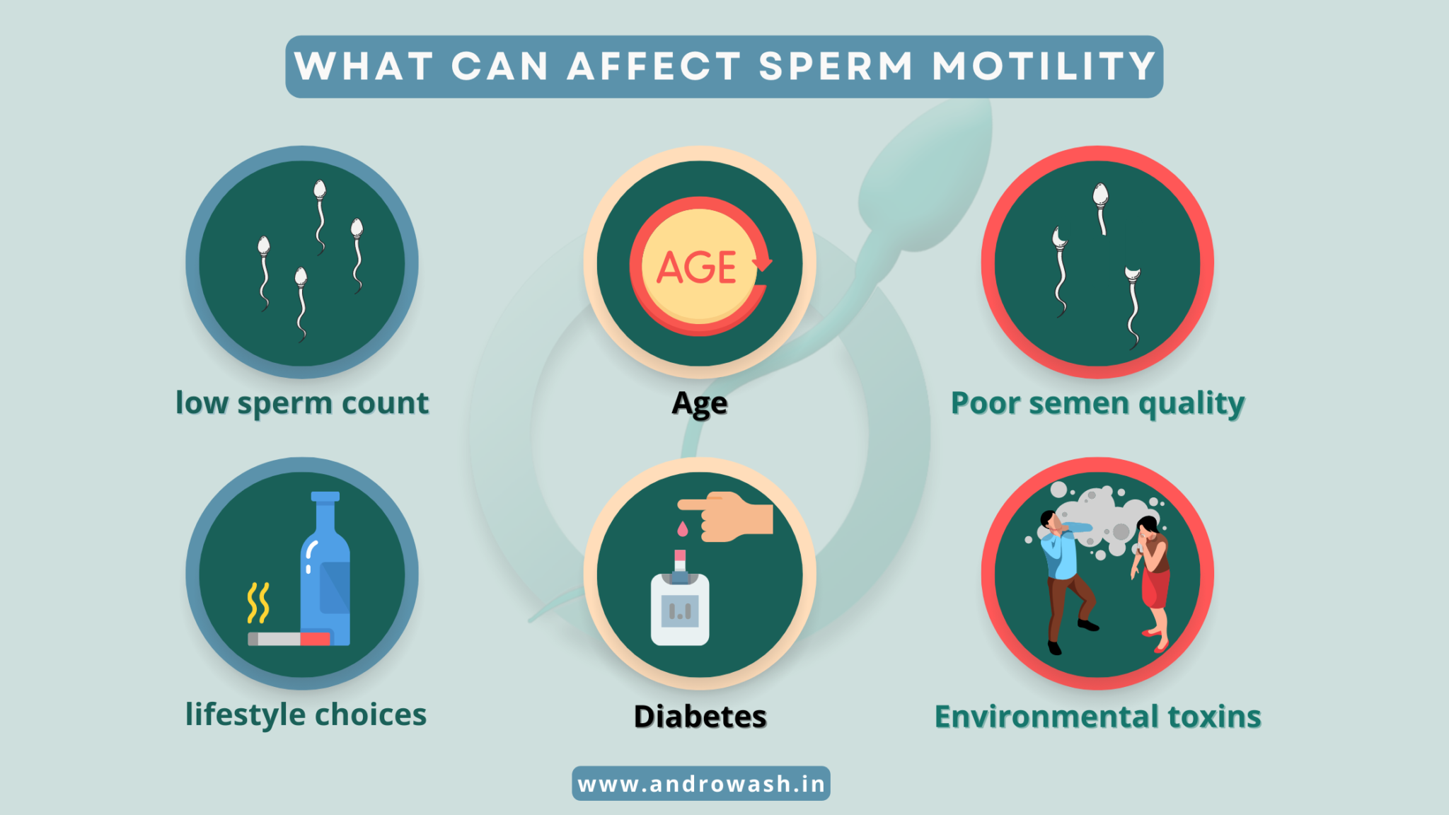 Sperm Motility: How It Affects Male Fertility - Androwash